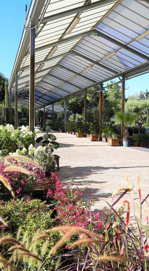 Pépinières Le Lann - La passion des plantes depuis 1966