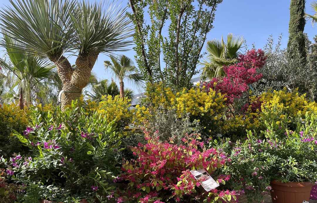 Pépinières Le Lann - La passion des plantes depuis 1966